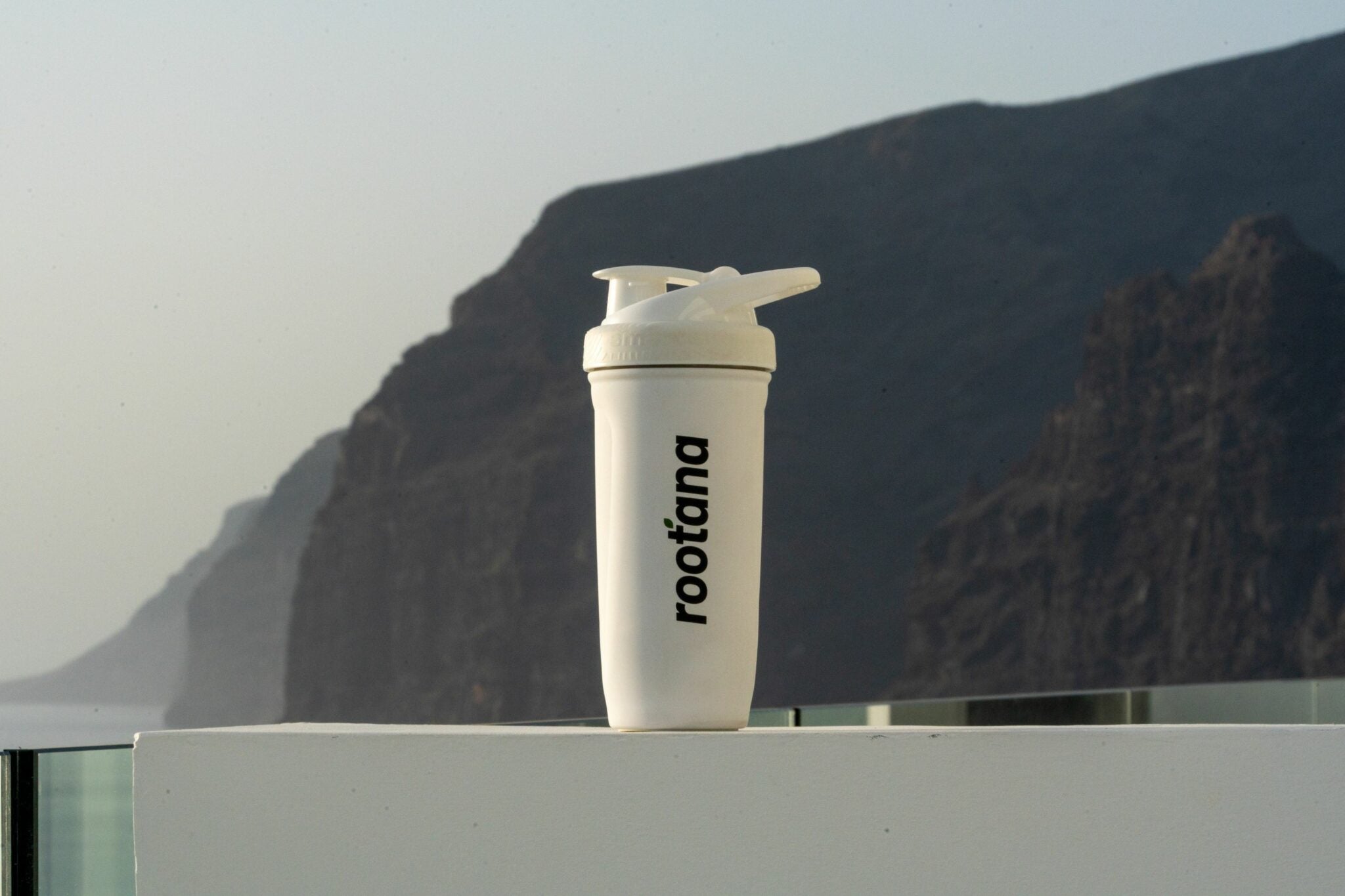 Meal Replacement Shake Buying Guide – What to look for when buying mea ...